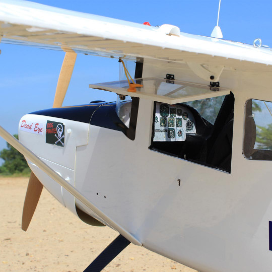 Giant Scale CESSNA BIRD DOG "DeadEye" 70-125cc ARF radio-controlled ...